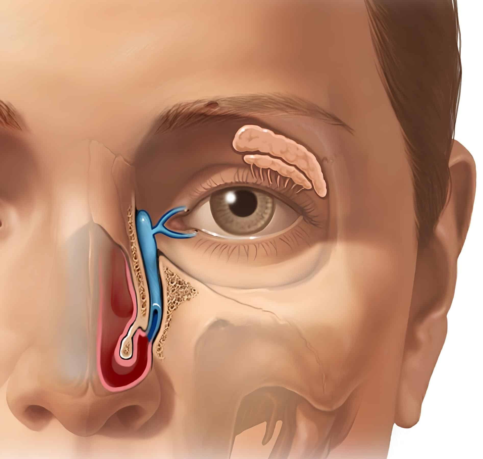 Lacrimal pathway and tears - Faces Facial Surgery in Lisboa and Evora